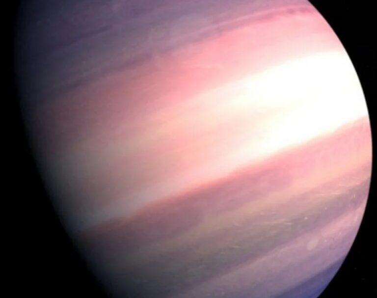 Space-loving teen discovers new planect on the 3rd day of his NASA ...