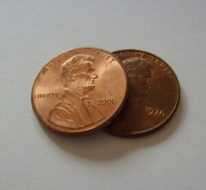 Southern guy shares a simple penny trick to keep flies away year round