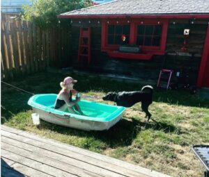 30 Hilariously Terrible DIY Pools Forcing Neighbors To Do A Double Take
