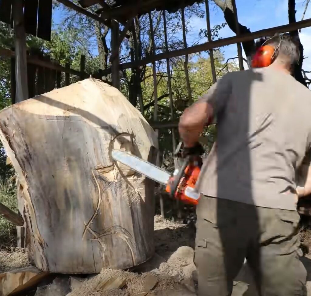 Man carves into tree trunk with chainsaw to sculpt wolves and Chieftain ...