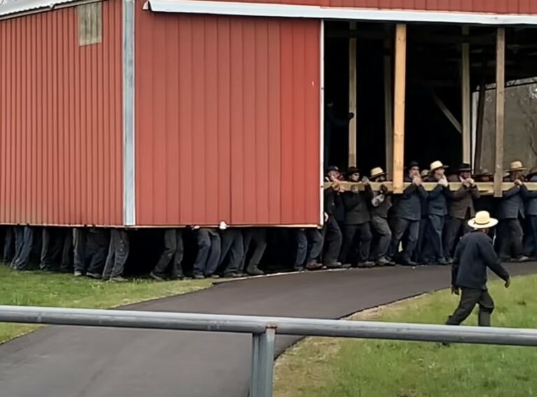 Watch over 200 Amish people lift a barn with only their hands and move ...