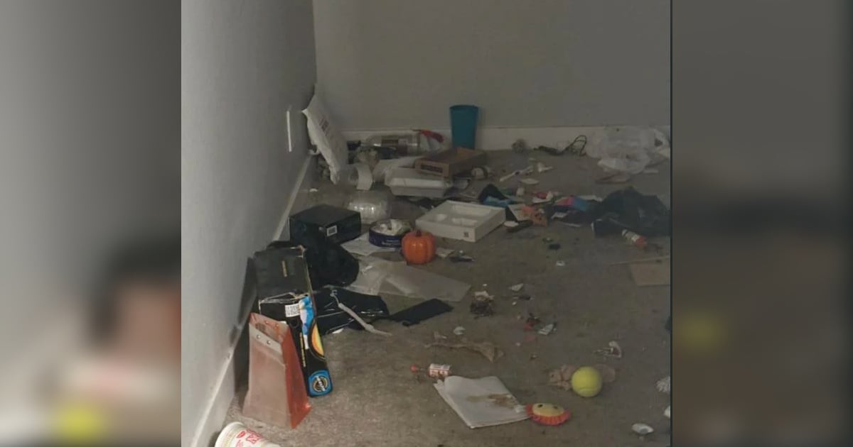 40 bad roommates that’ll convince you to live alone for the rest of ...