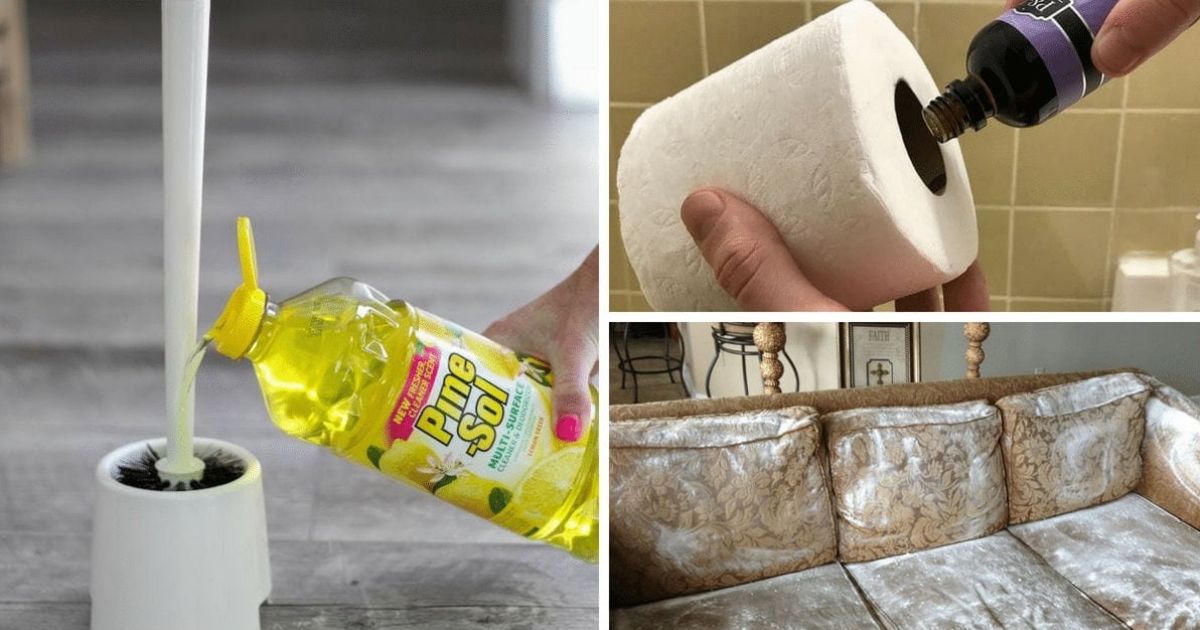 35 Little-Known Hacks To Banish Odors From Every Room In Your House ...