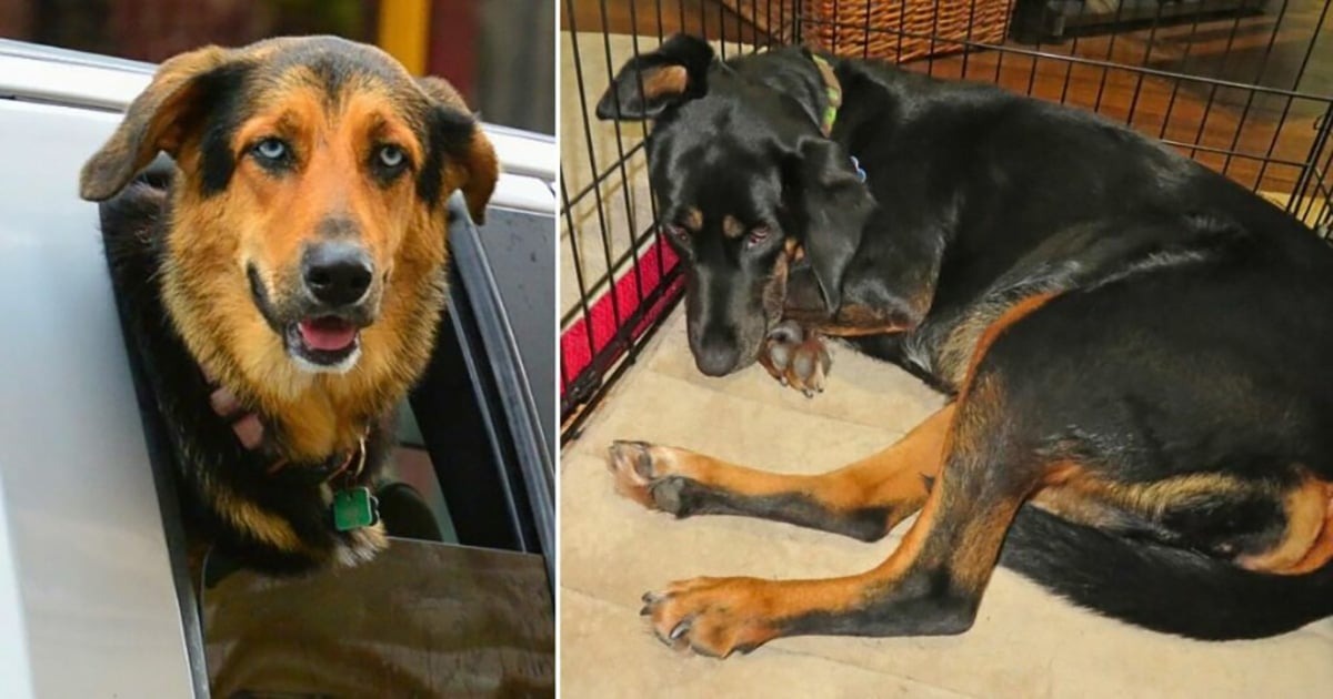 15 of the most ridiculous things that have ever been said in court